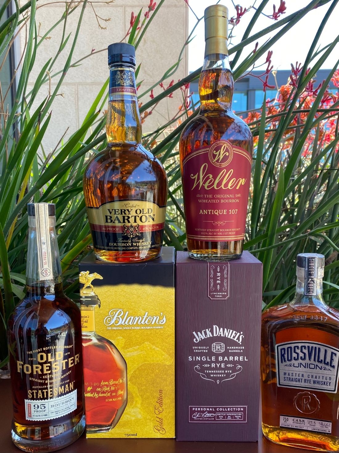 Pitch Cavasson Booze Bank